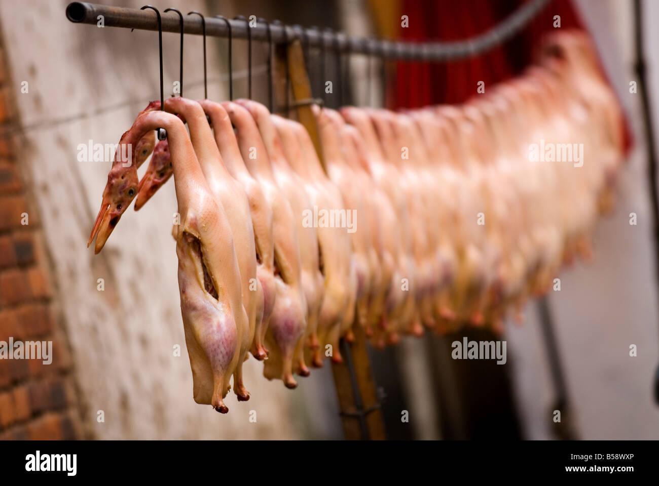 Cooked birds hi-res stock photography and images - Alamy