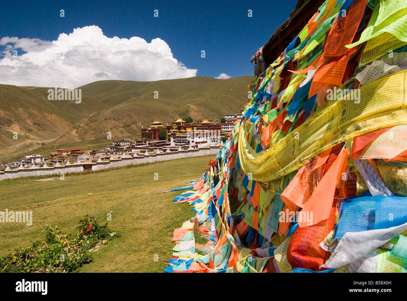 Monastery and prayer flags, Litang, Sichuan, China Stock Photo - Alamy
