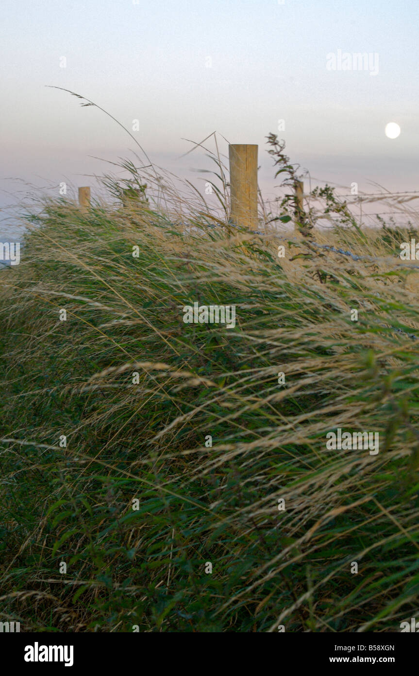 South downs way ditchling beacon hi-res stock photography and images ...