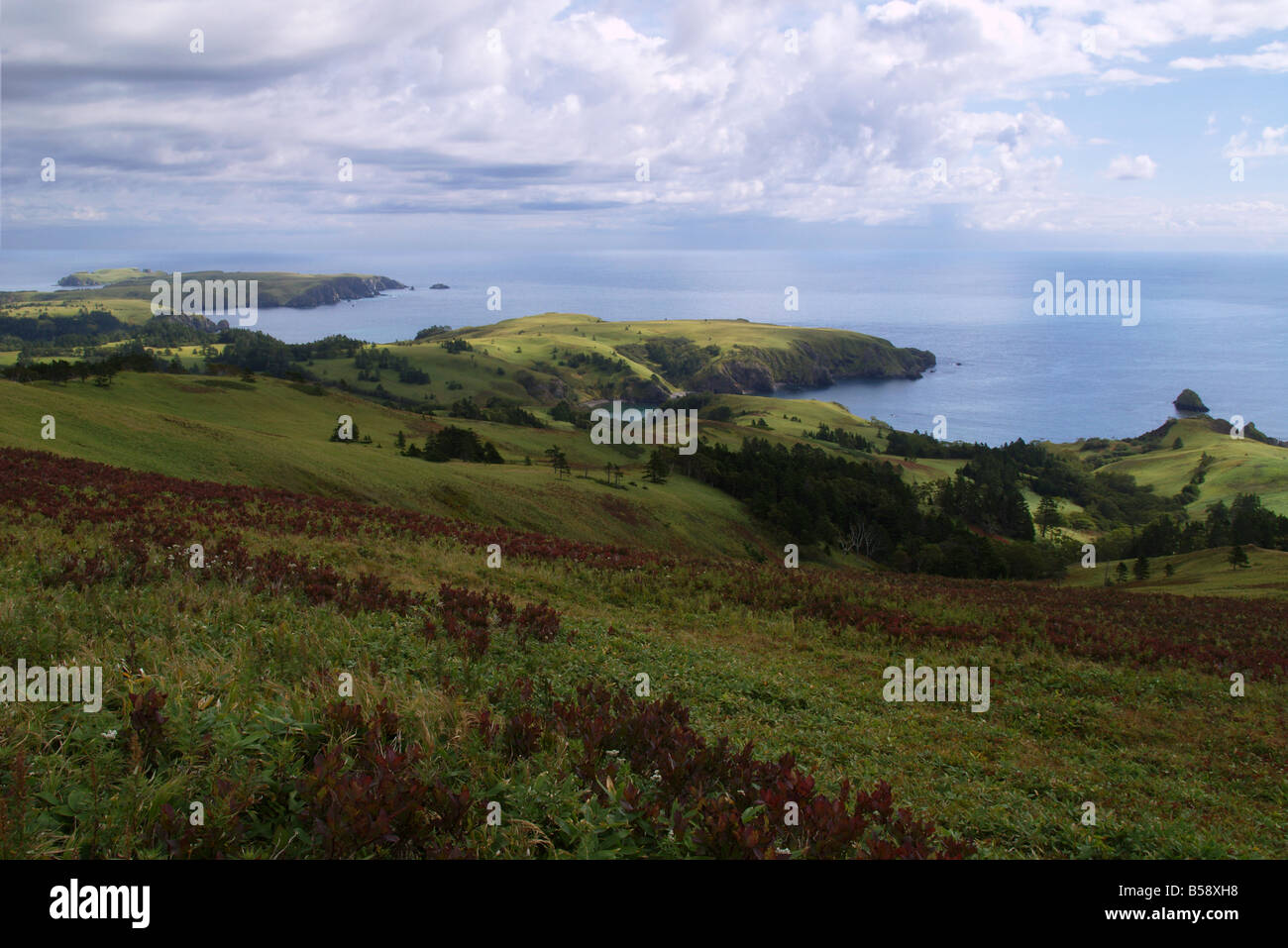 Shikotan island's coast Stock Photo - Alamy