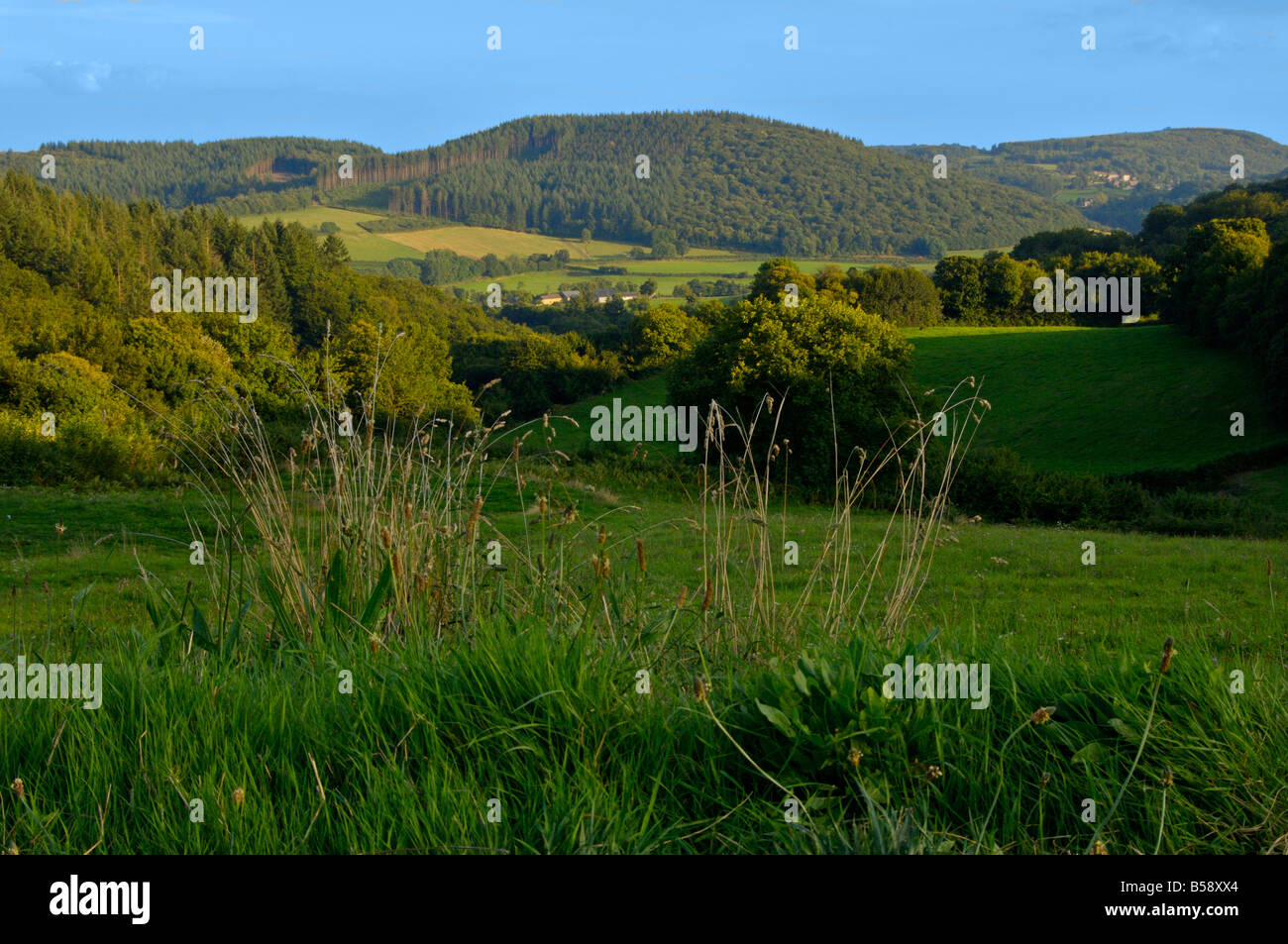 Morvan hi-res stock photography and images - Alamy