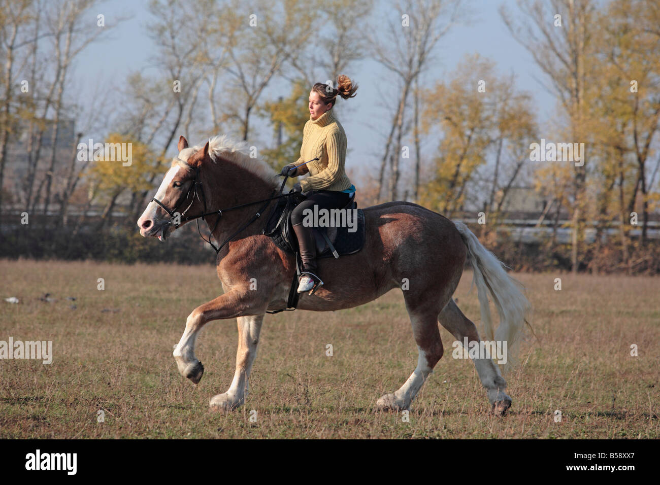 Cowgirls riding horses hi-res stock photography and images - Alamy