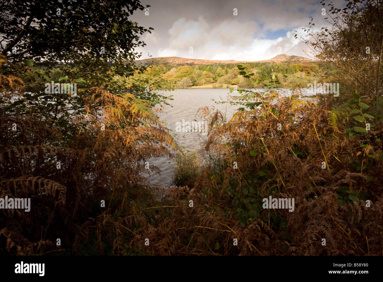 Autumnal Burrator Reservoir Stock Photo - Alamy