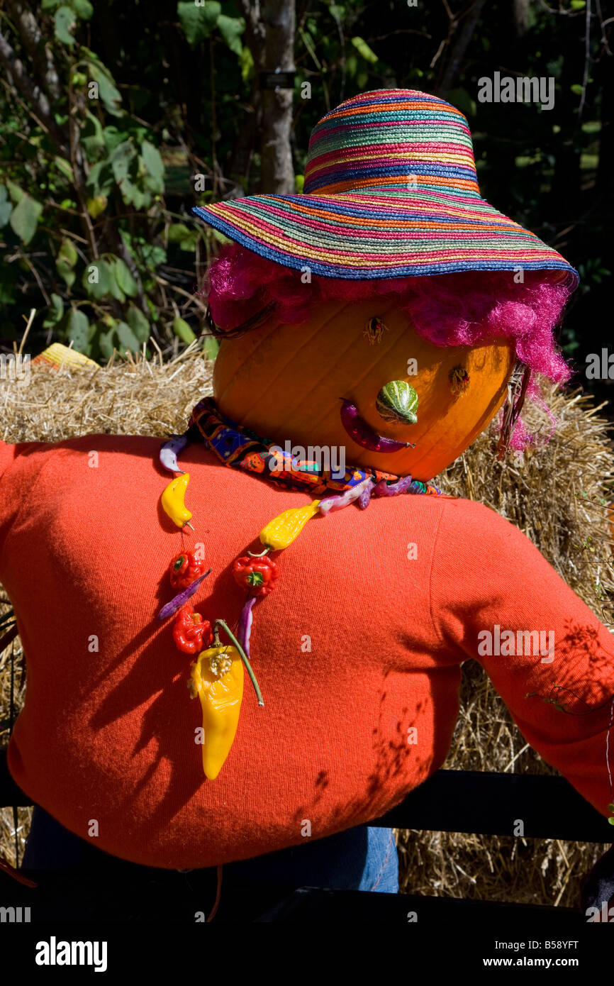 Scarecrow beach hi-res stock photography and images - Alamy