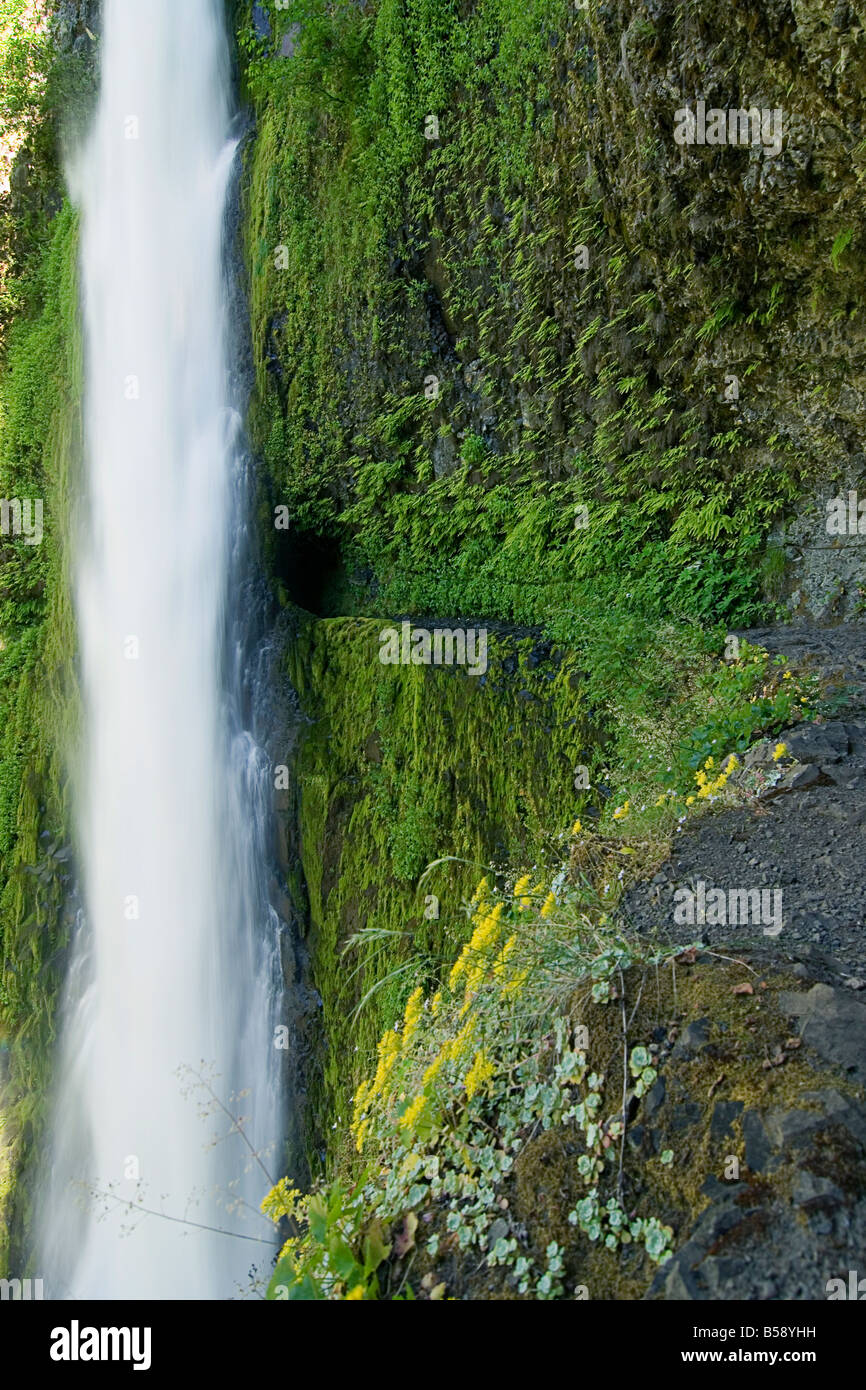 Tunnel falls hi-res stock photography and images - Alamy