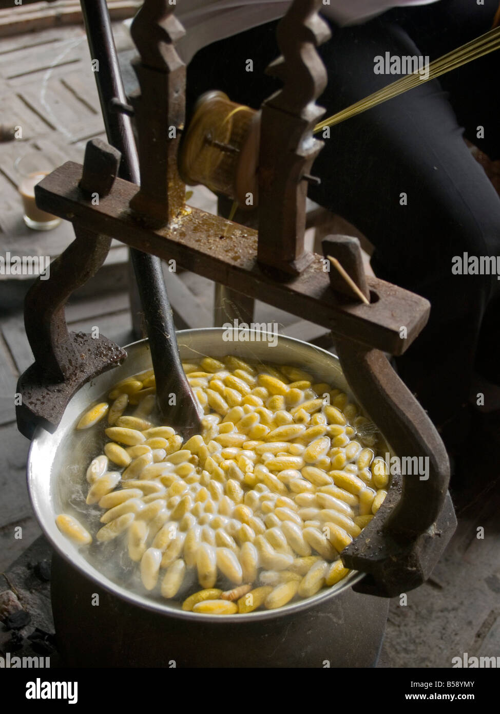 drawing silk from cocoons at the Queen Sirikit Sericulture Center in ...