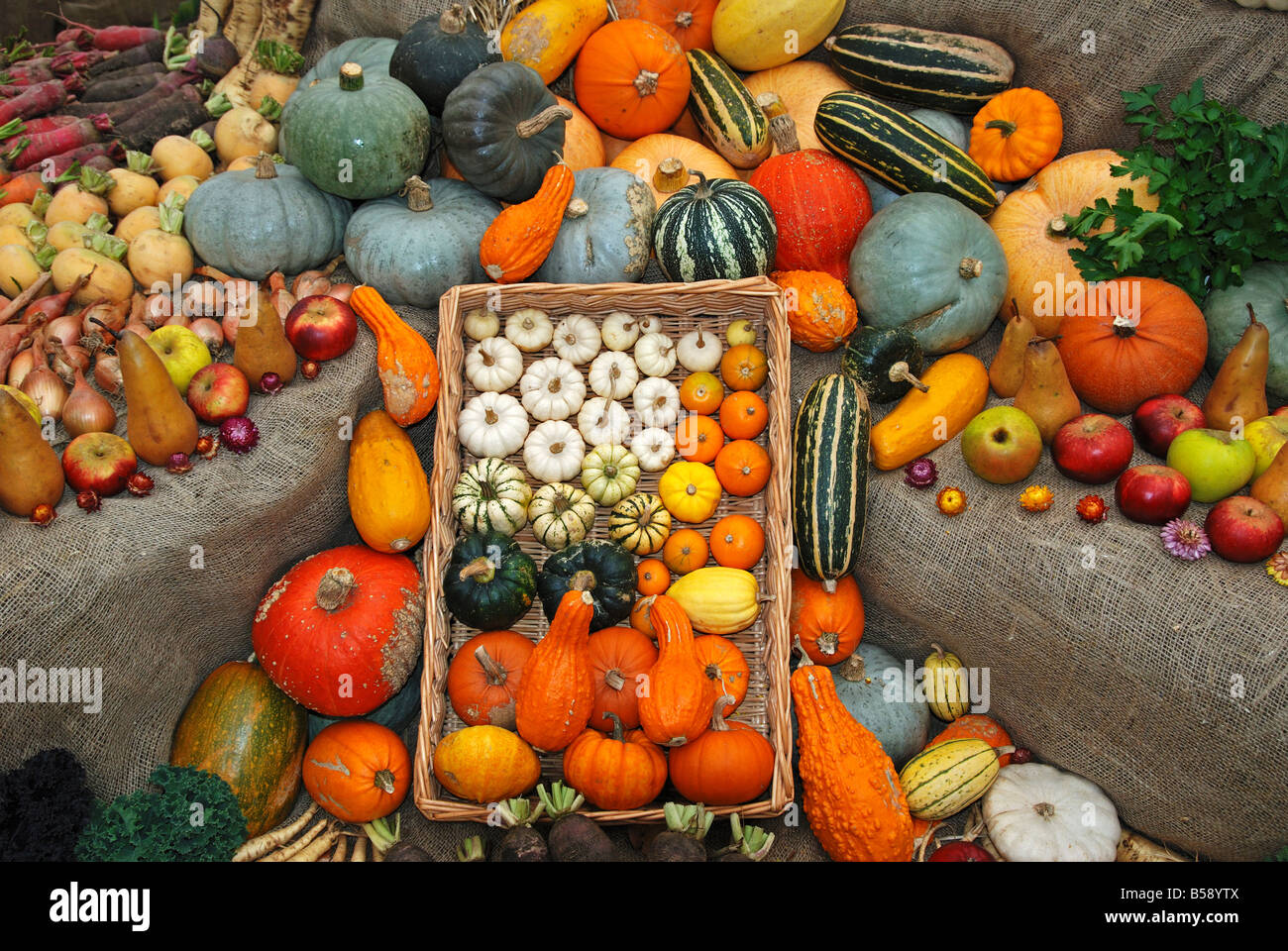 a harvest display at heligan gardens,cornwall,uk Stock Photo - Alamy