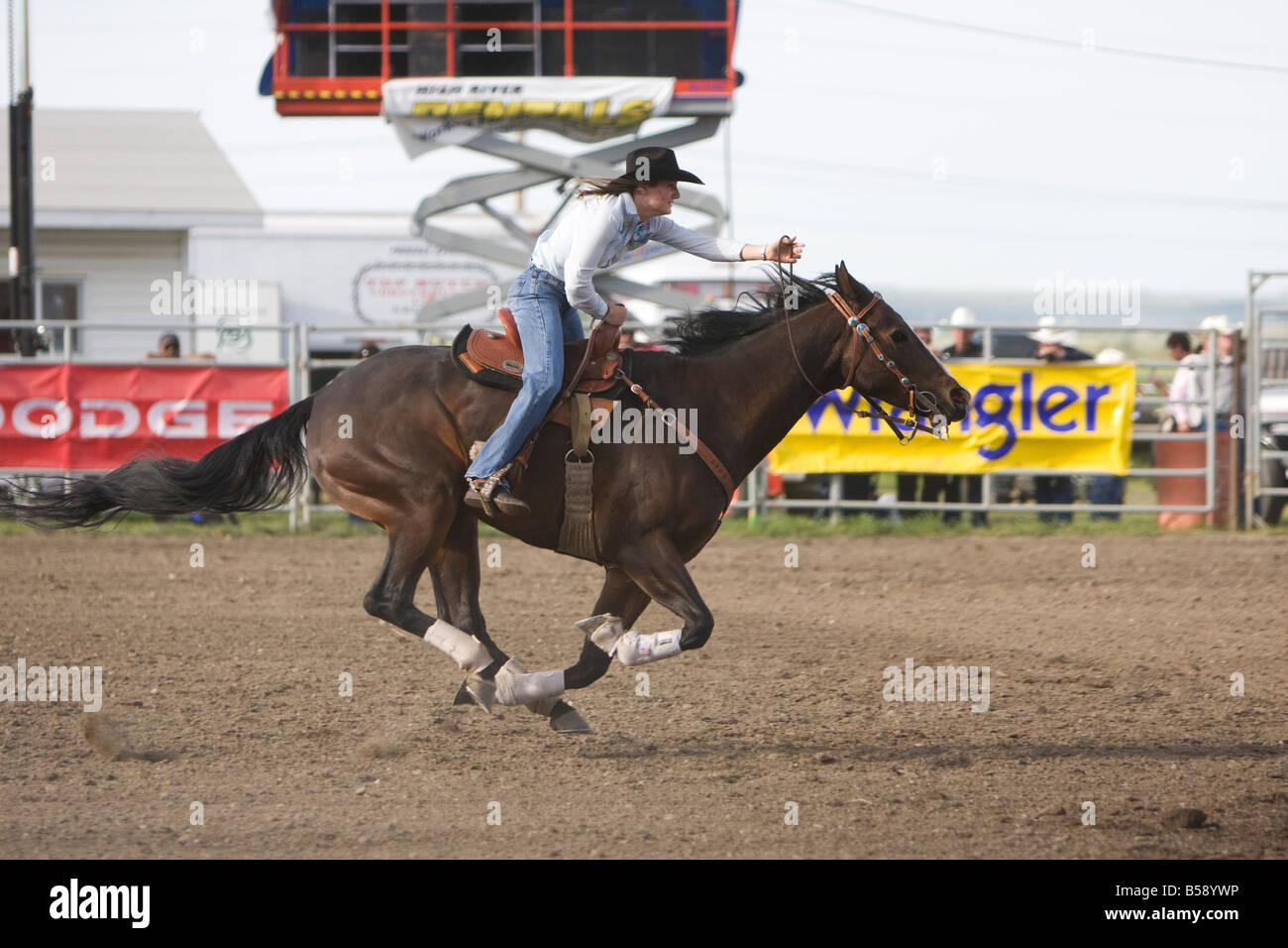 A cowgirl in a barrel race at a rodeo runs her bay horse down the ...