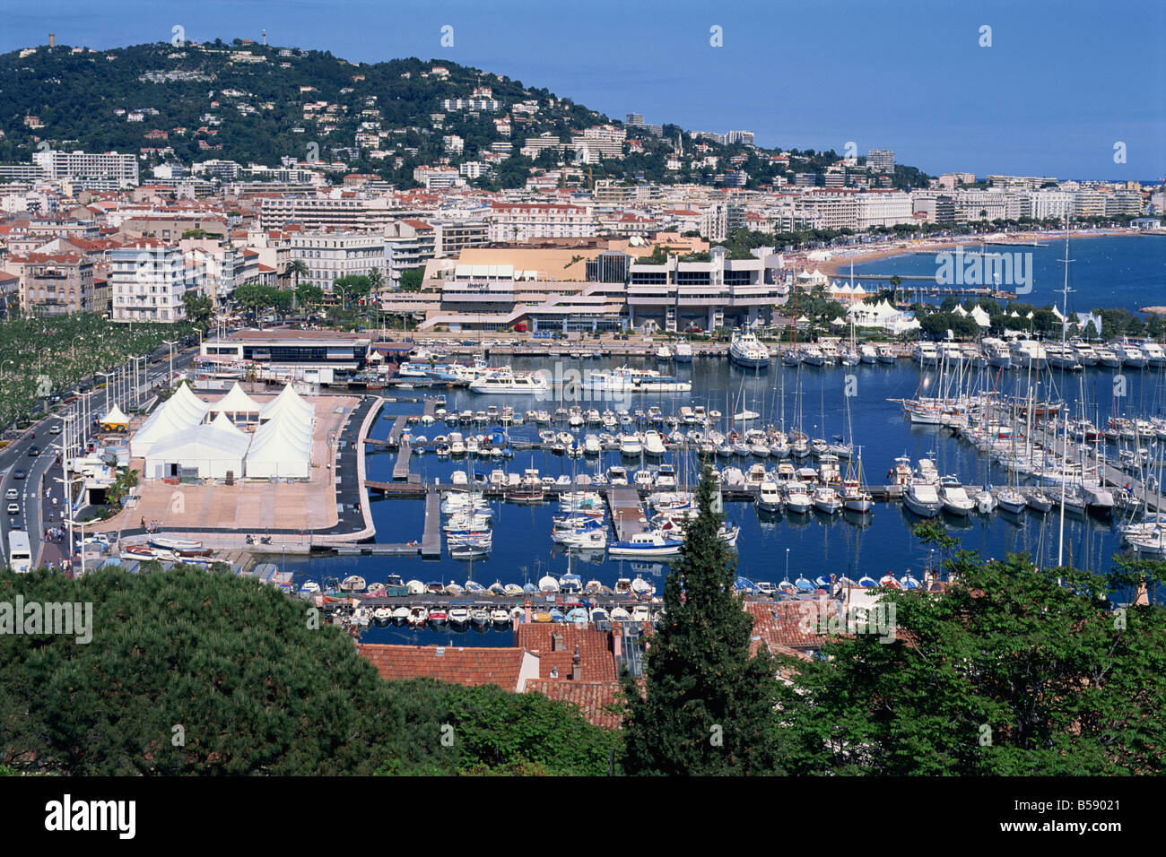 Aerial view over Le Suquet and the harbour in the old town Cannes ...