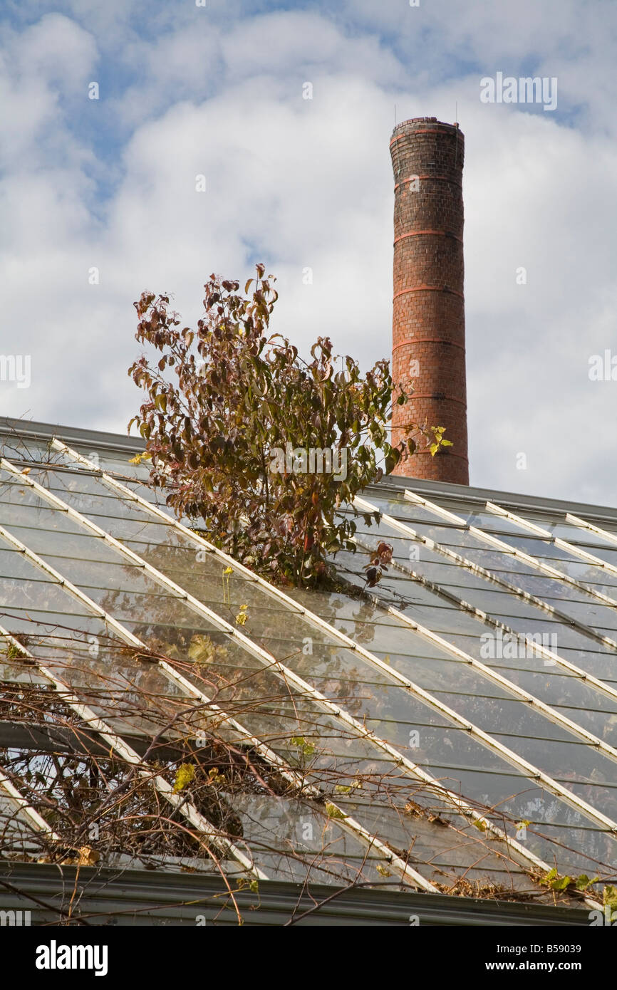 Trees growing through roof hi-res stock photography and images - Alamy