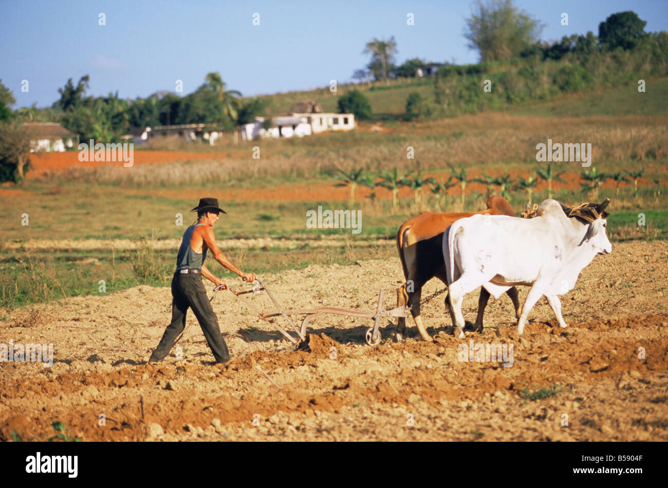 Ox plough hi-res stock photography and images - Alamy