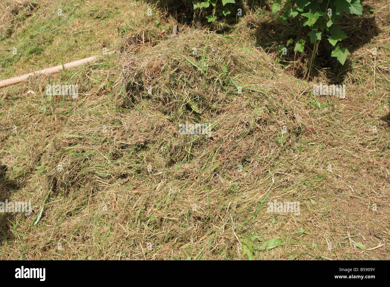 Composting hi-res stock photography and images - Alamy