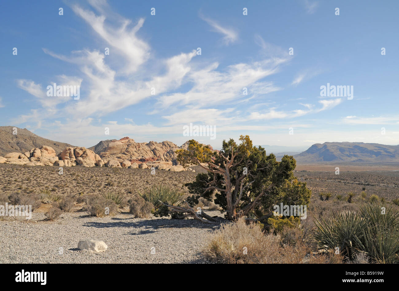 Mid day in Navada desert Stock Photo - Alamy