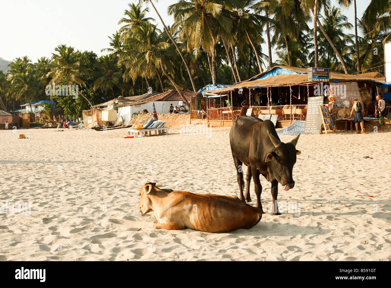 Rocky beach palolem goa hi-res stock photography and images - Alamy
