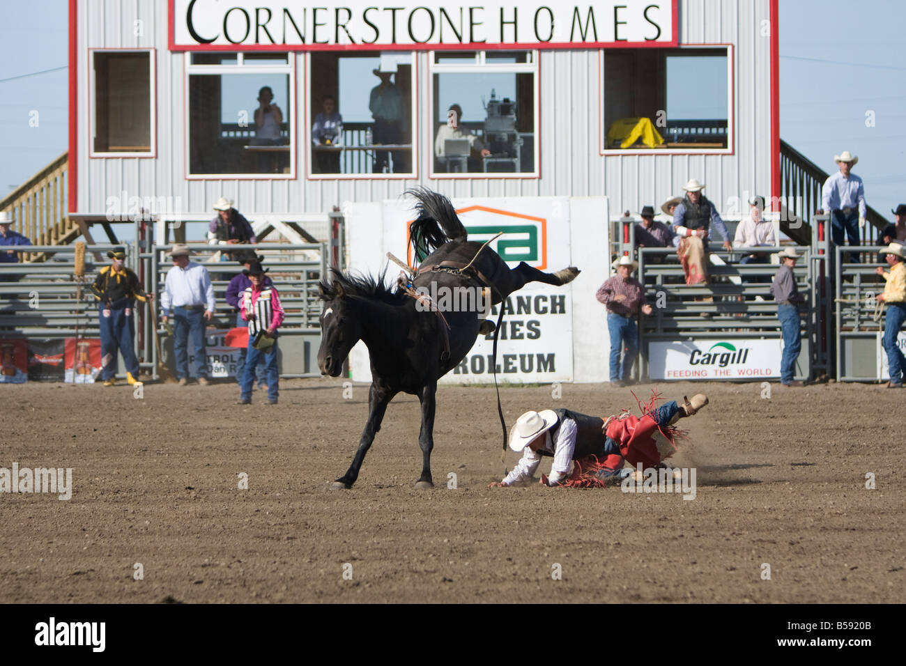 Bucking Horses High Resolution Stock Photography and Images - Alamy
