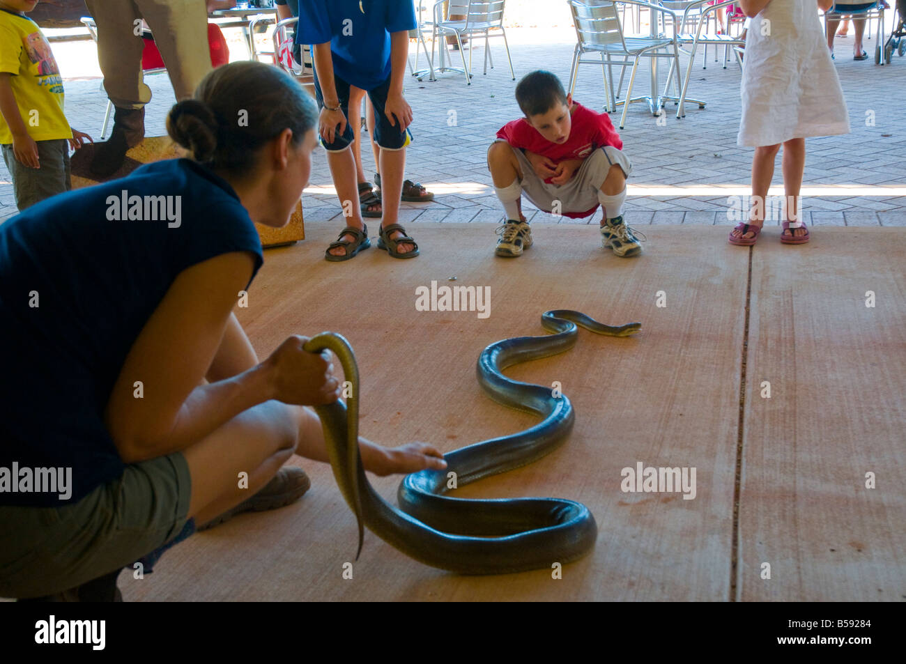 A wildlife ranger at the Malcolm Douglas Wildlife Park near Broome ...