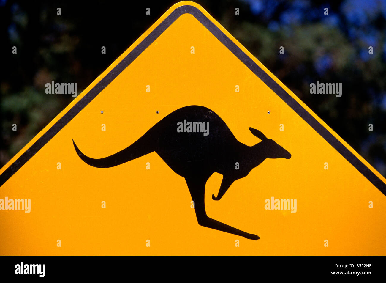 Kangaroo roadsign, Australia Stock Photo - Alamy