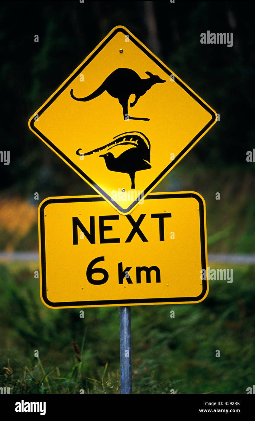 Australian Kangaroo Signpost High Resolution Stock Photography and ...