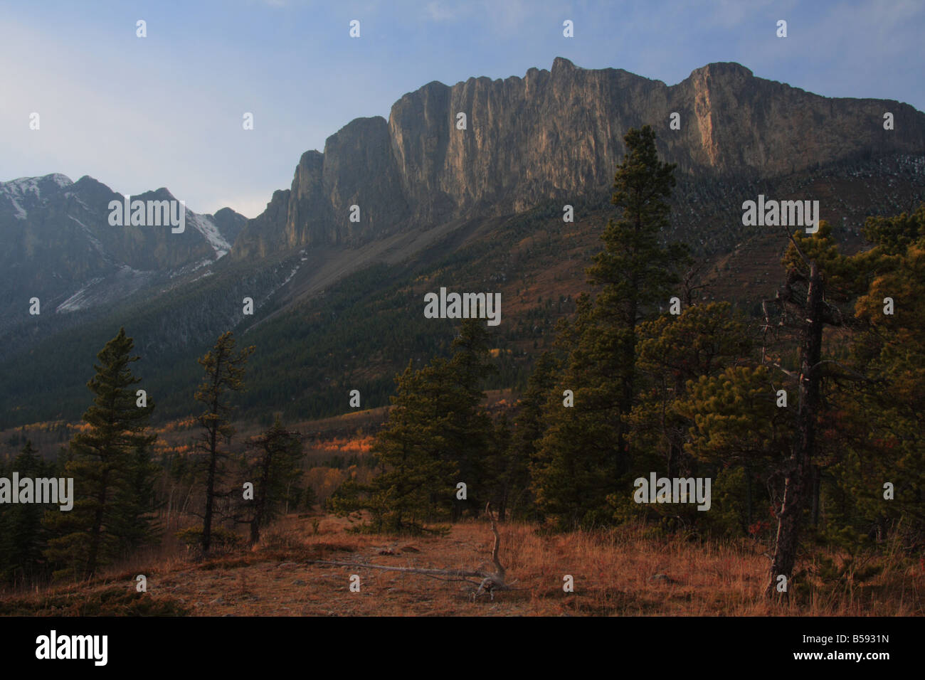 Mount Yamnuska near Canmore, Alberta Stock Photo - Alamy