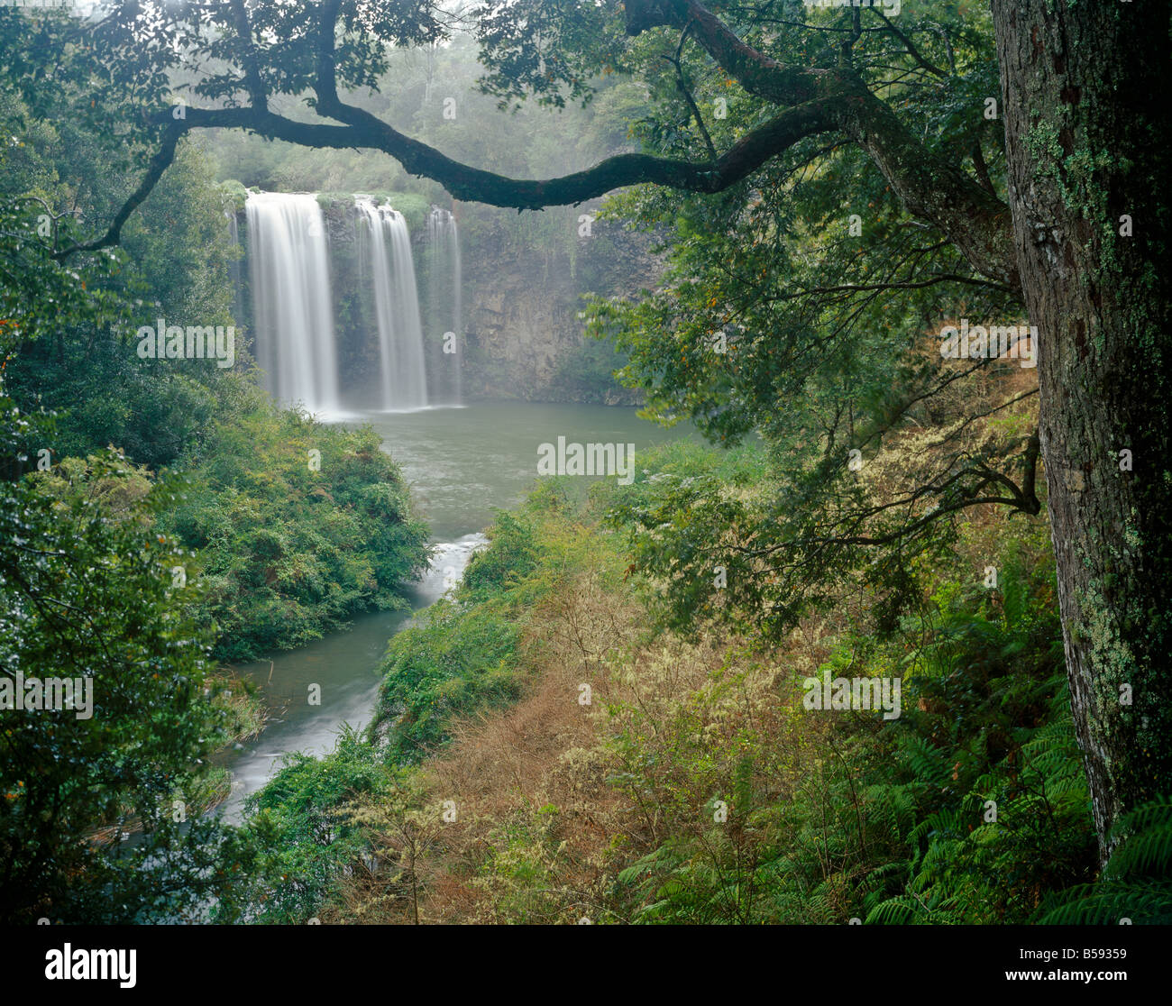 Cascade dangar falls waterfall hi-res stock photography and images - Alamy