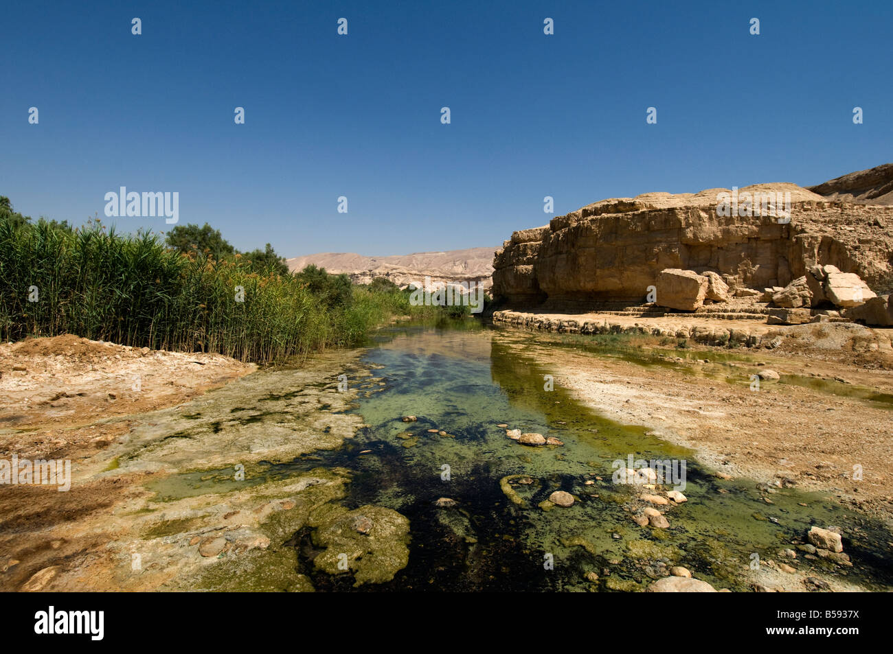 oasis in the wilderness of zin Stock Photo - Alamy