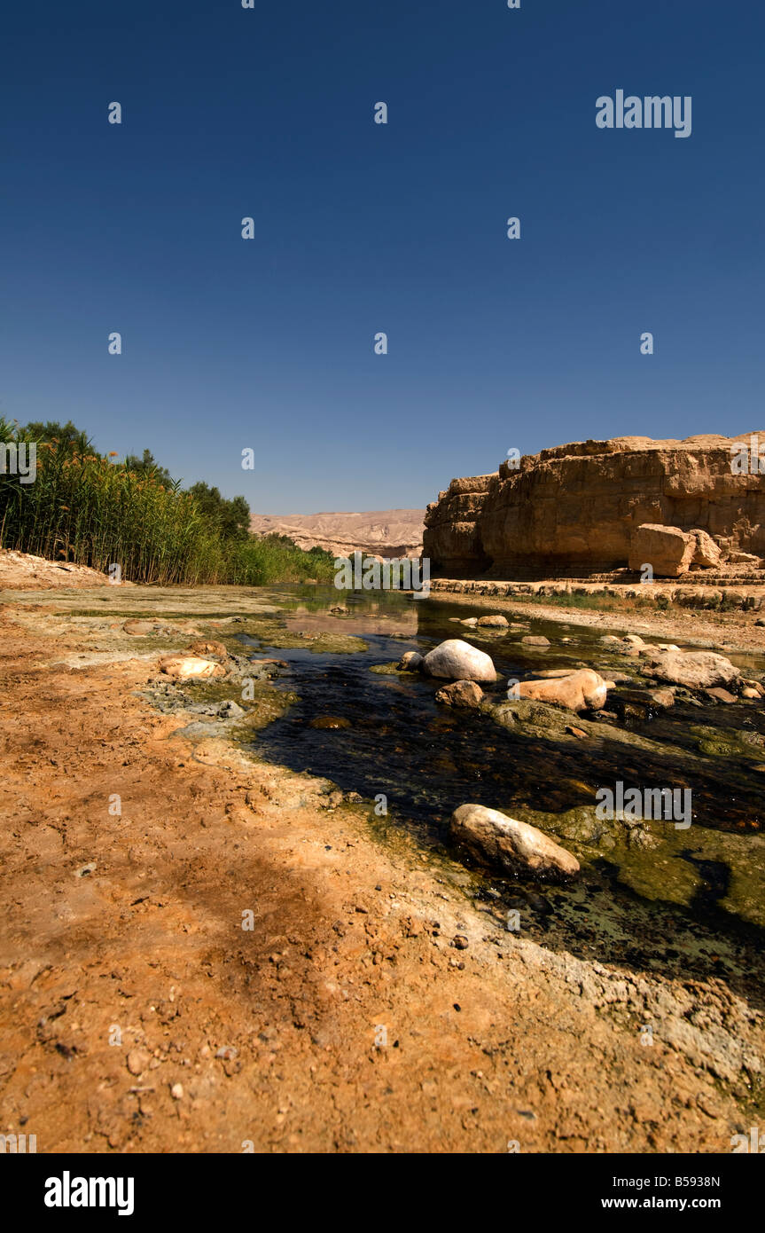 oasis in the wilderness of zin,negev desert Stock Photo - Alamy