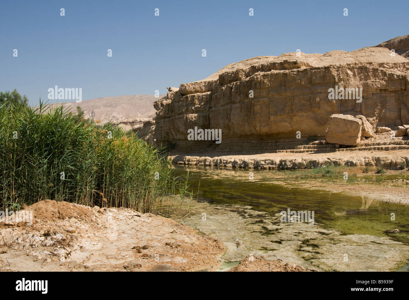oasis in the wilderness of zin ,negev desert Stock Photo - Alamy