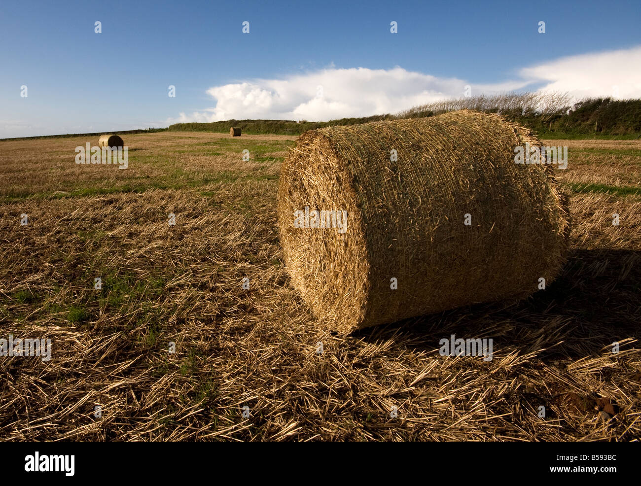 A lone hay bale in a stubble covered Cornish field Stock Photo - Alamy
