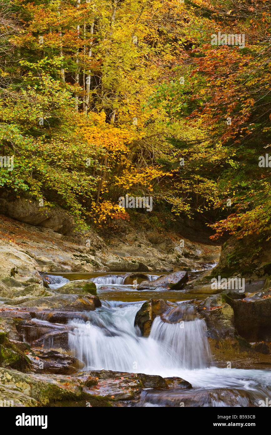 Autumn brook with mini waterfalls flowing in the national park Stock ...