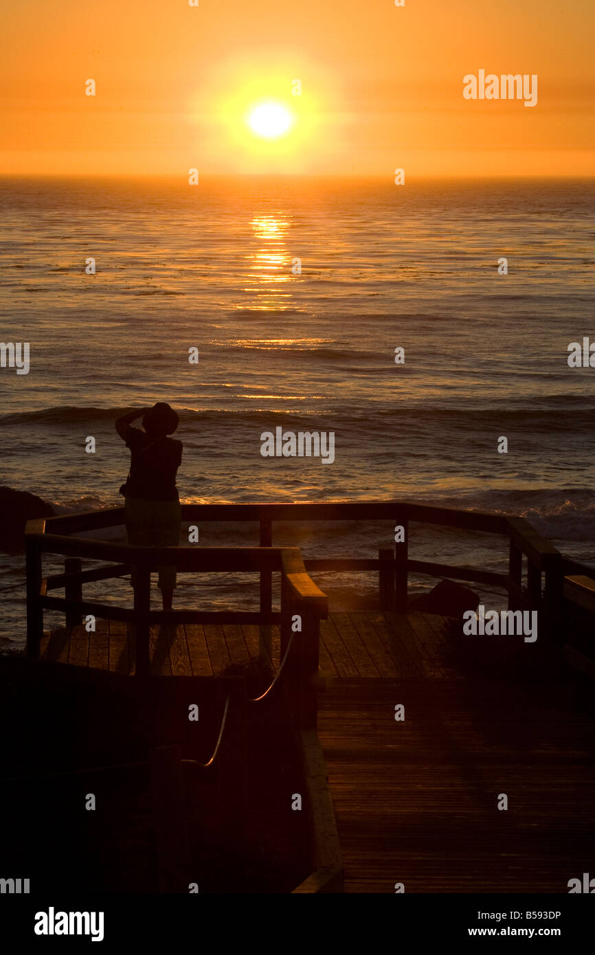Person Photographing Sunset at Moonstone Beach Stock Photo - Alamy