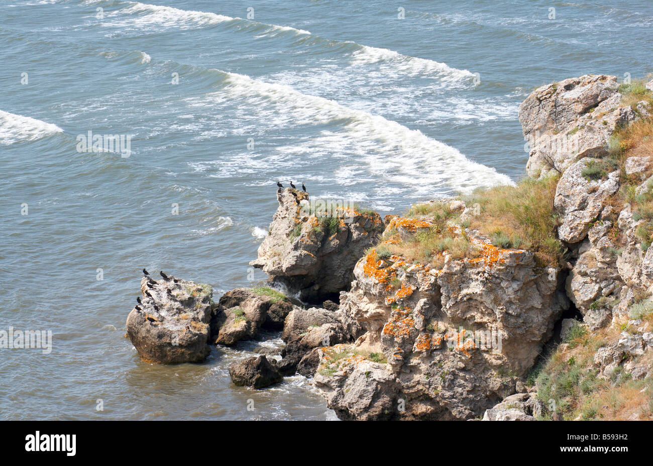 Crimea population hi-res stock photography and images - Alamy