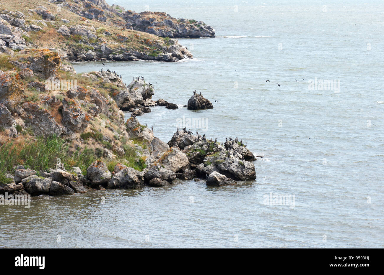 Crimea population hi-res stock photography and images - Alamy