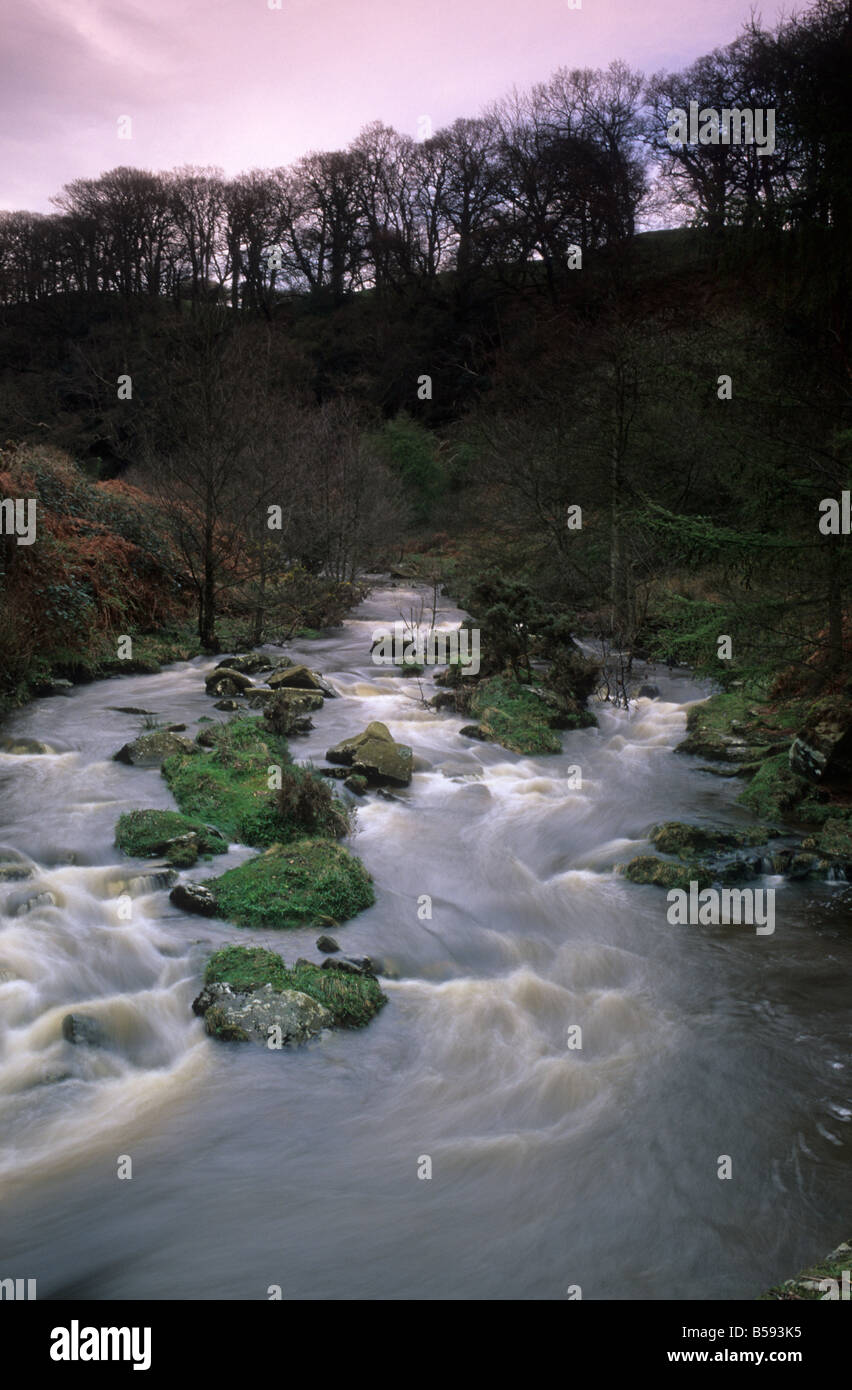 A river on the North York Moors, Yorkshire, England Stock Photo - Alamy
