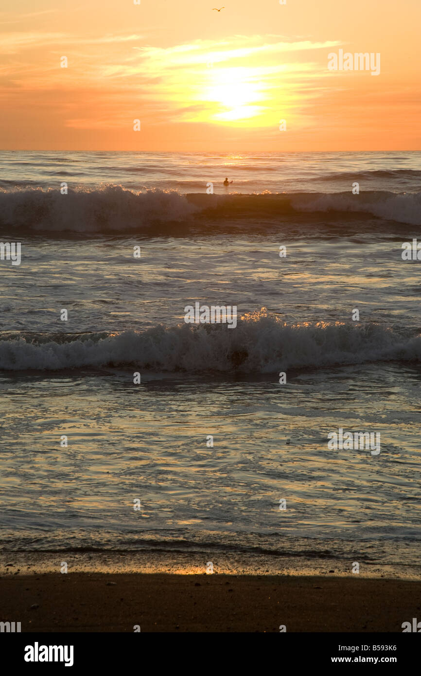 Surfer Watching Sunset Stock Photo - Alamy Surfer Watching Sunset Stock Photo - Alamy