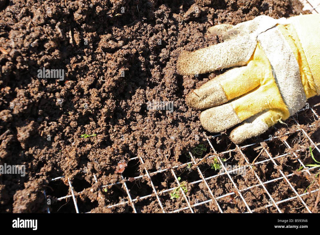 SIEVING COMPOST THROUGH 1 INCH MESH TO REMOVE ANY LARGE LUMPS CLOSE UP ...