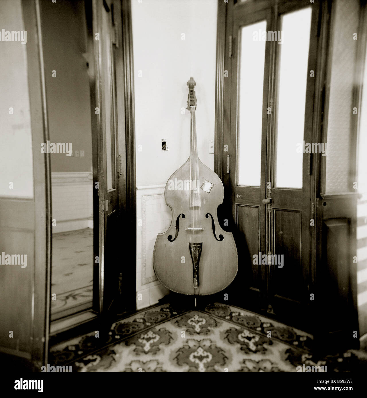 Double bass resting against wall inside Palacio de Valle, Cienfuegos ...