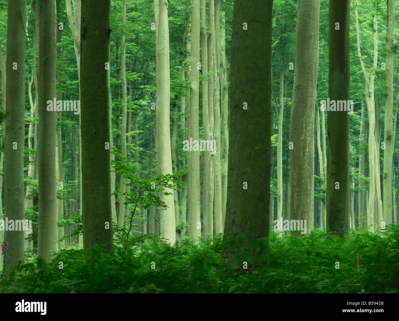 Straight patterns hi-res stock photography and images - Alamy