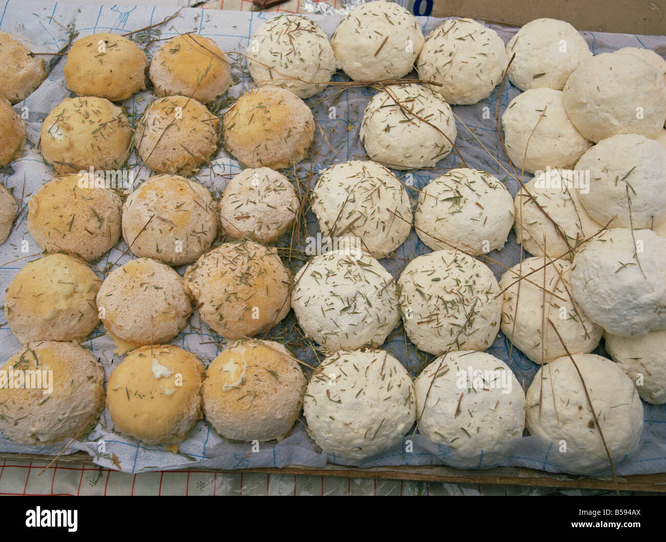 A tray of round goats cheeses in Provence France M Busselle Stock Photo ...