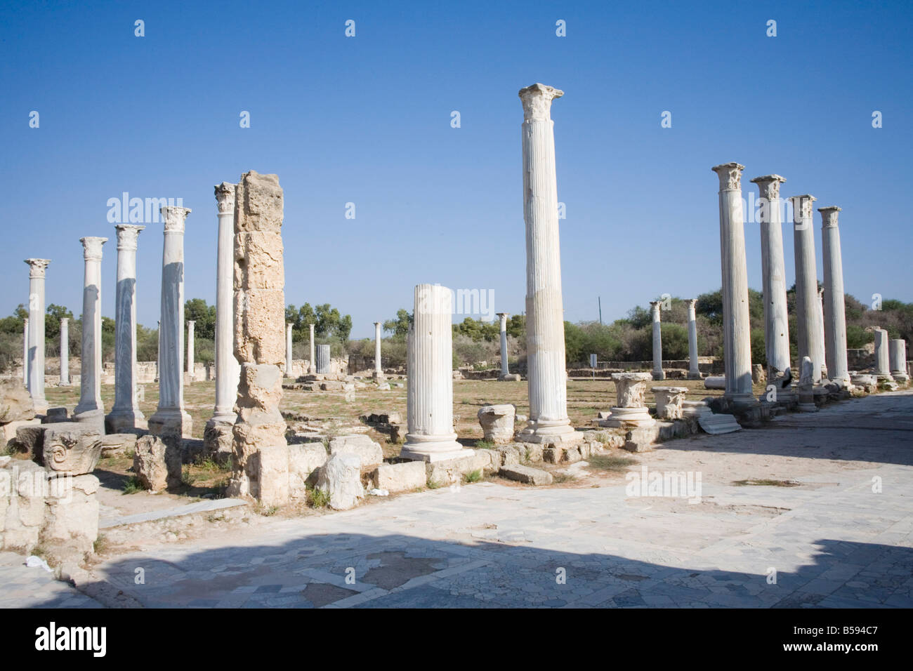 The archaeological site of Salamis, Salamis, North Cyprus, Europe Stock ...