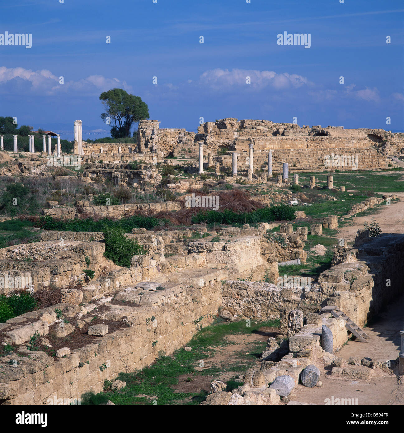 Roman gymnasium hi-res stock photography and images - Alamy