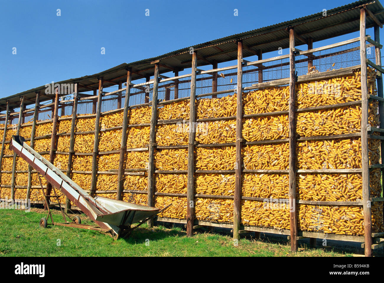 Large wire cages of a maize store on a farm near Chambery Savoie in the ...