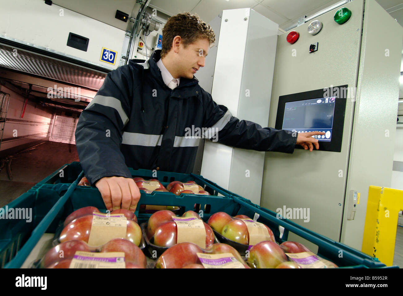 Worker scanning trays of fresh apples past an industrial RFID scanner ...