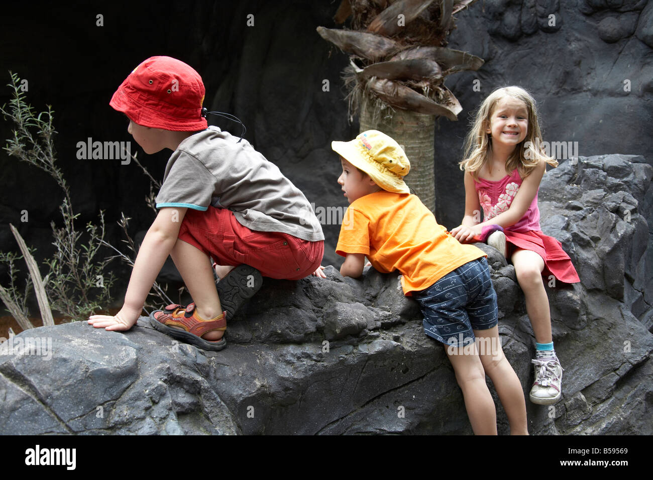 Three children on rocks looking at skinks in Australia Zoo wildlife and ...