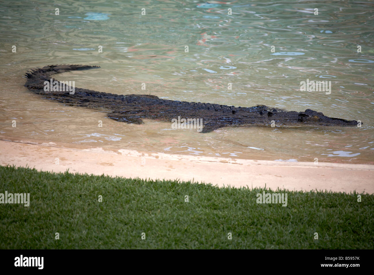 Zoo show hi-res stock photography and images - Alamy