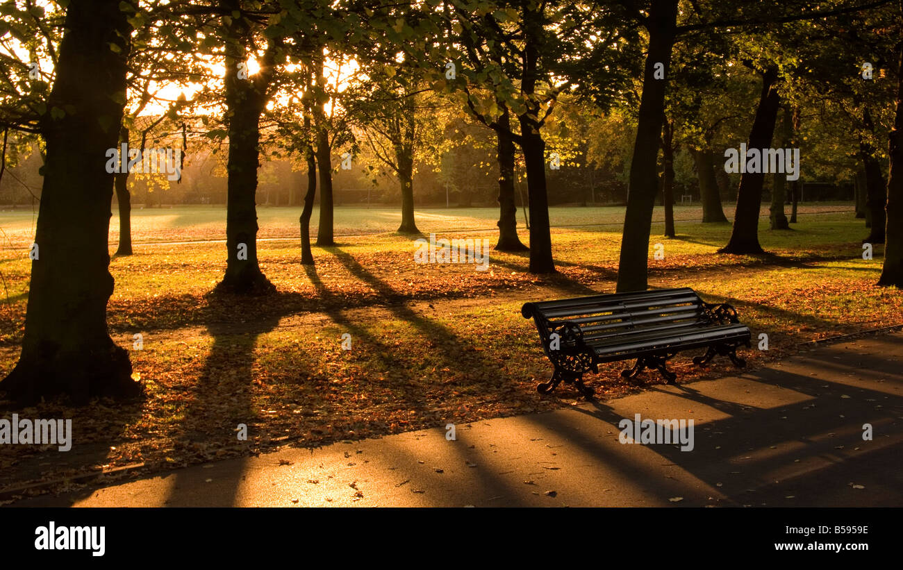 Park bench in Regents Park London UK Stock Photo - Alamy