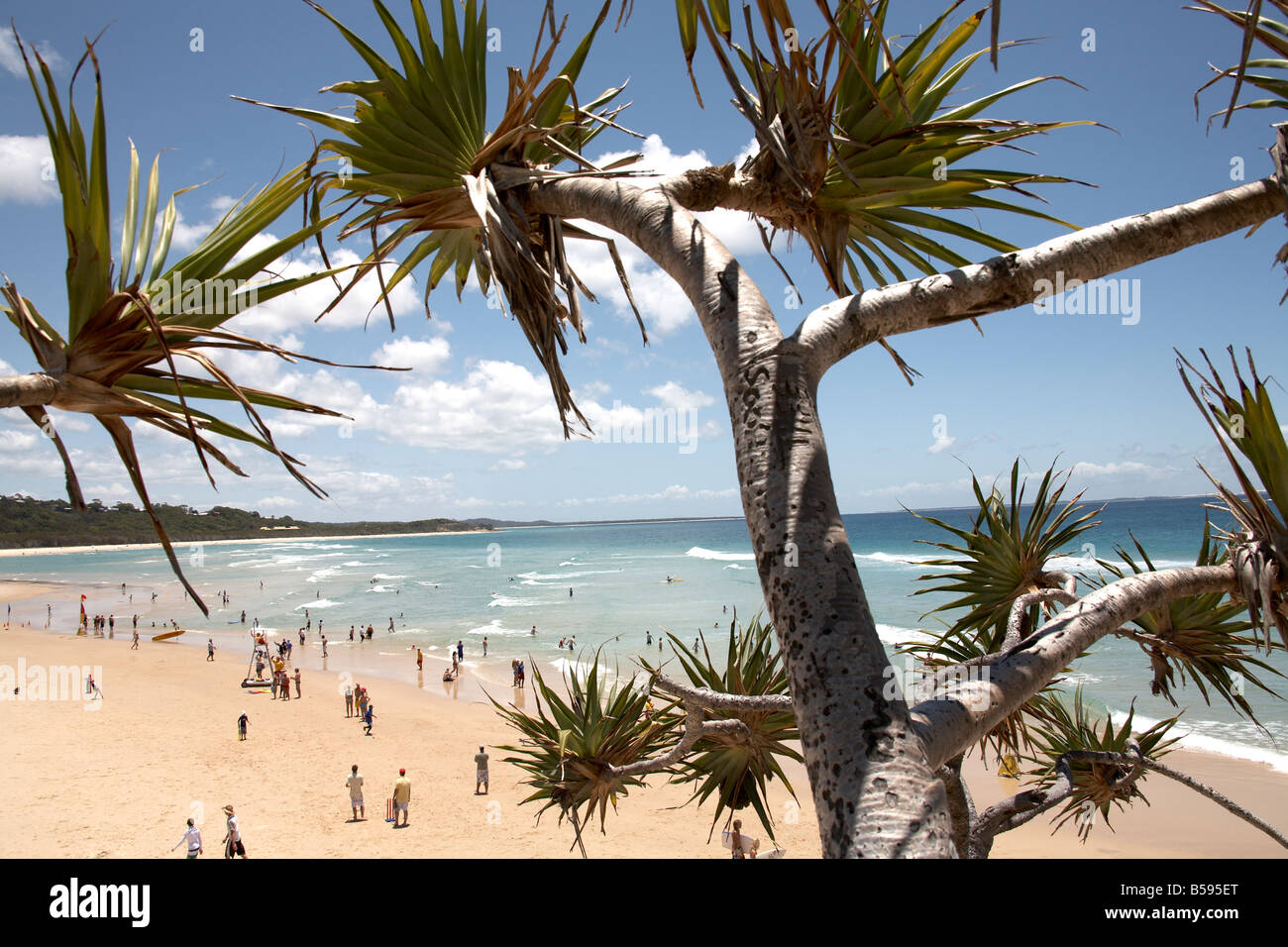 Cylinder beach through Pandanus palm tree on a summer day with people ...