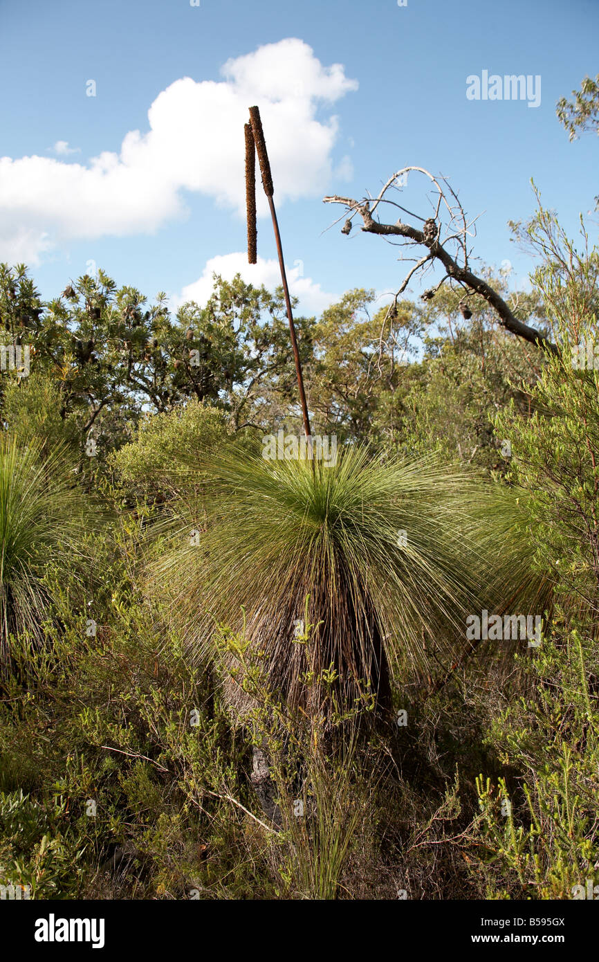 200612 High Resolution Stock Photography and Images - Alamy