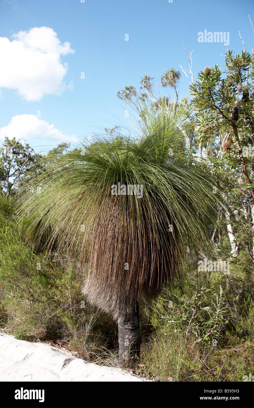 200612 hi-res stock photography and images - Alamy