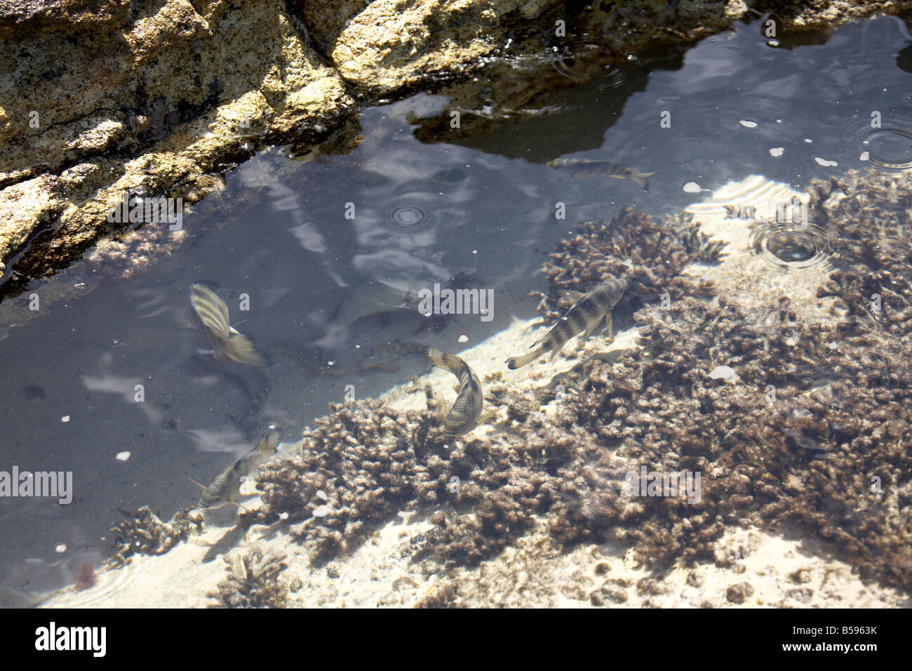 Trapped under rocks hi-res stock photography and images - Alamy