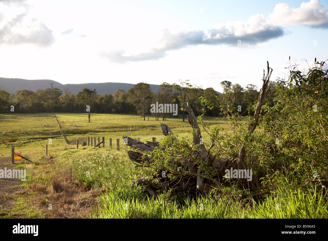 Beautiful scenic agricultural landscape with green fields and trees in ...
